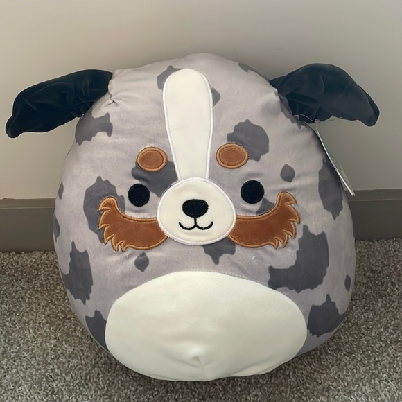 Other | 12 Raylor The Australian Shepherd Squishmallow | Poshmark